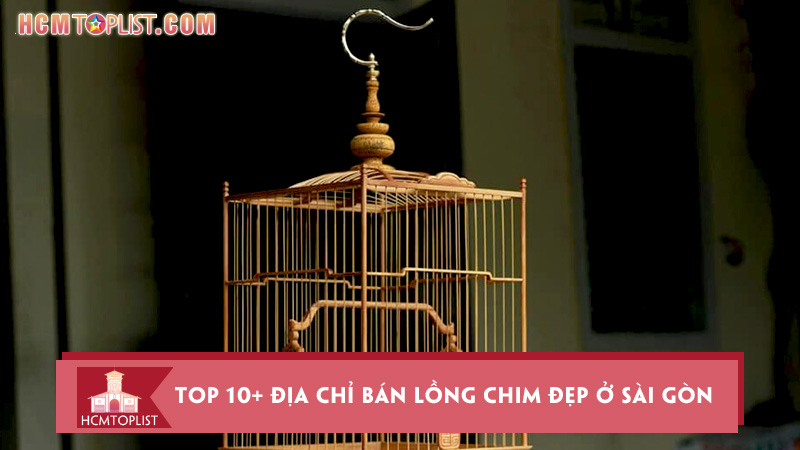 Top 10 địa chỉ bán lồng chim đẹp ở Sài Gòn uy tín, giá tốt | HCMtoplist
