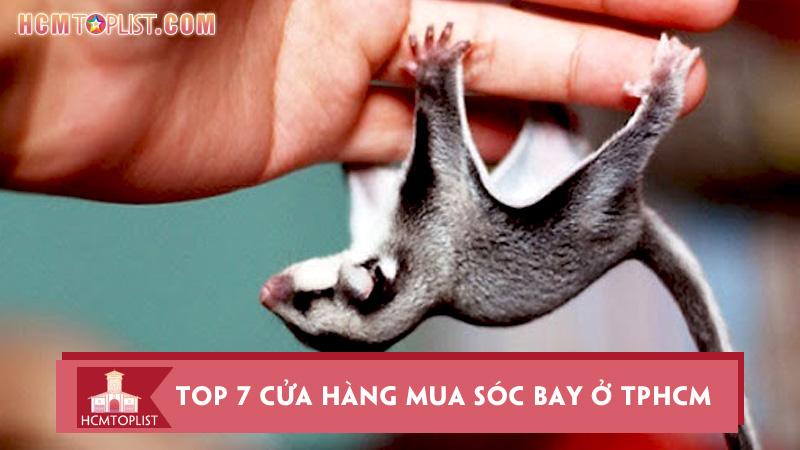 Top 7 cửa hàng mua sóc bay ở TPHCM đáng tin cậy