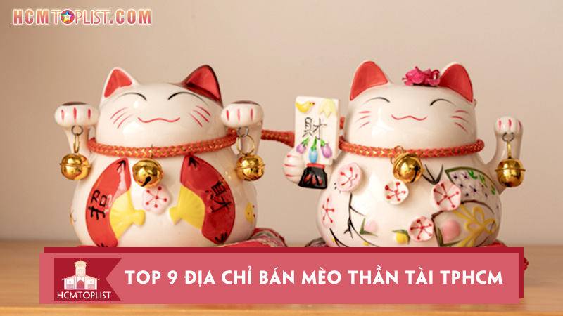 Top 9 địa chỉ bán mèo thần tài TPHCM đẹp lung linh miễn chê | HCMtoplist