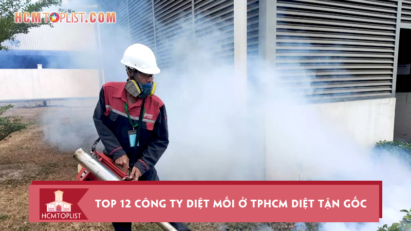 Top 12 công ty diệt mối ở TPHCM diệt tận gốc, giá phải chăng
